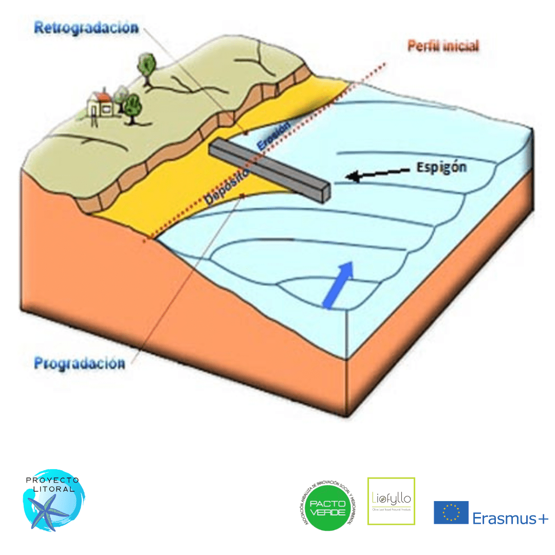 ¿Cómo afectan los espigones al litoral? - Pacto Verde